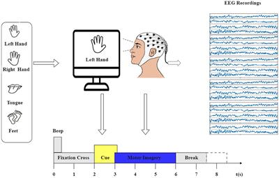 Frontiers | Revealing brain connectivity: graph embeddings for EEG representation learning and ...
